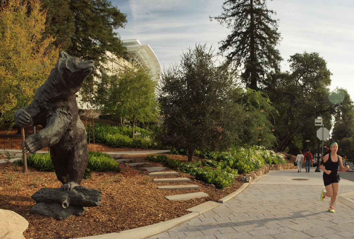 California Memorial Stadium Featured In Architectural Record - DAVID ...